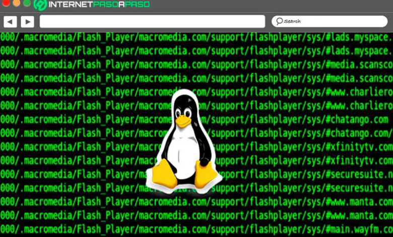 Linux Shell De quoi s'agit-il, à quoi sert-il et comment utiliser les ...