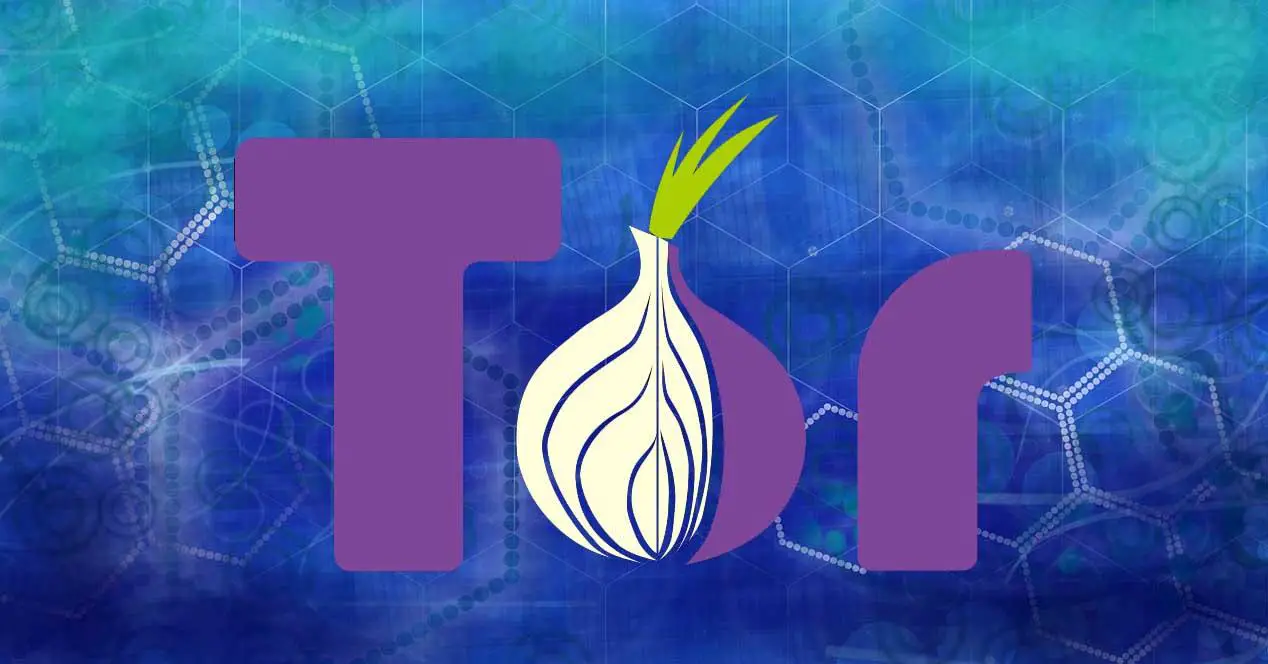 I2P vs Tor : connaître les principales différences - Informatique Mania